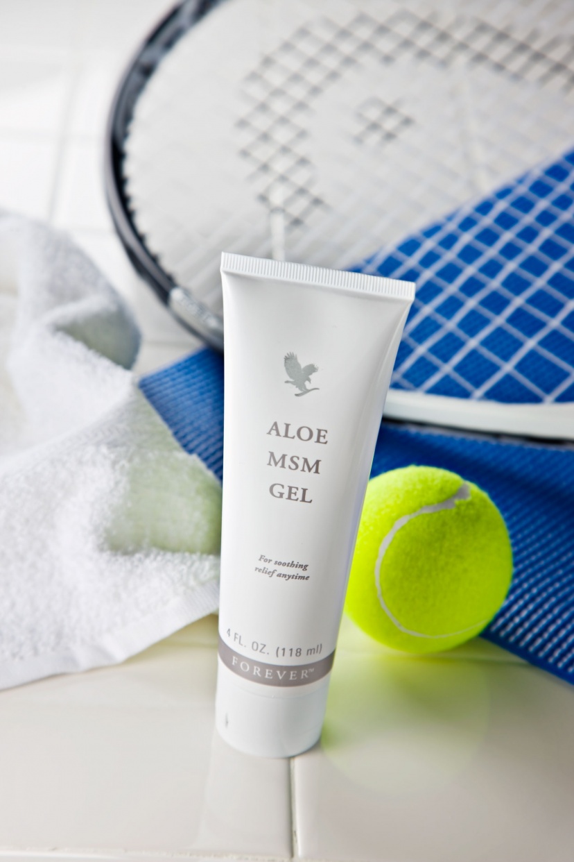 Aloe MSM Bodygel 205, 118 ml | NaturLex Online Shop